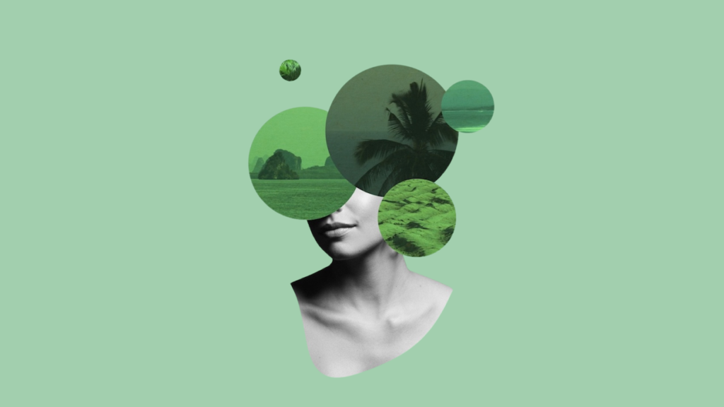 The Joy Of Green: A Deep Dive Into Color Theory – Bluebird Branding